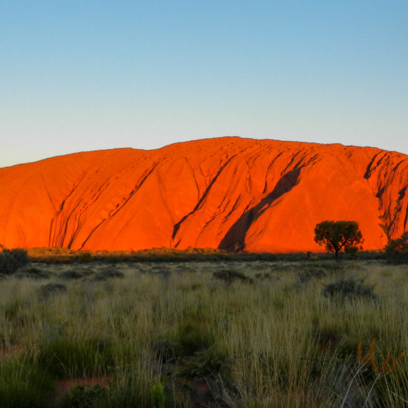 Wellness Travel - True Wind Healing Travel