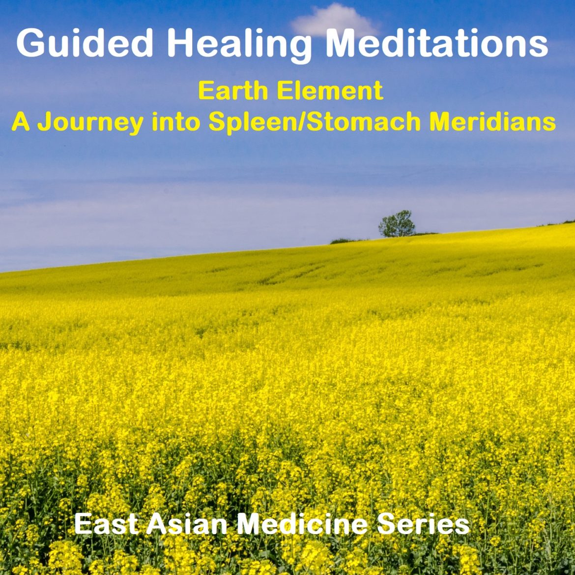 Earth Element Meditations Download - Spleen/Stomach Meridian