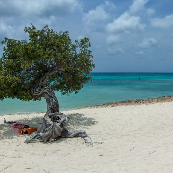 Grenada Spice Island Guide- A Caribbean Treasure