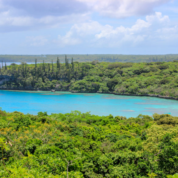Isle de Pines Getaway - Best of New Caledonia