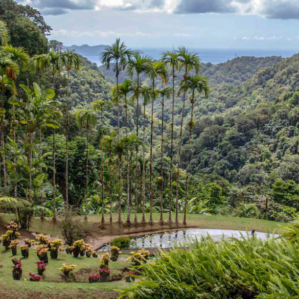 Grenada Spice Island Guide- A Caribbean Treasure