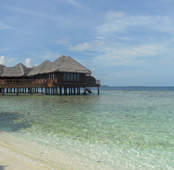 True Wind Healing Travel