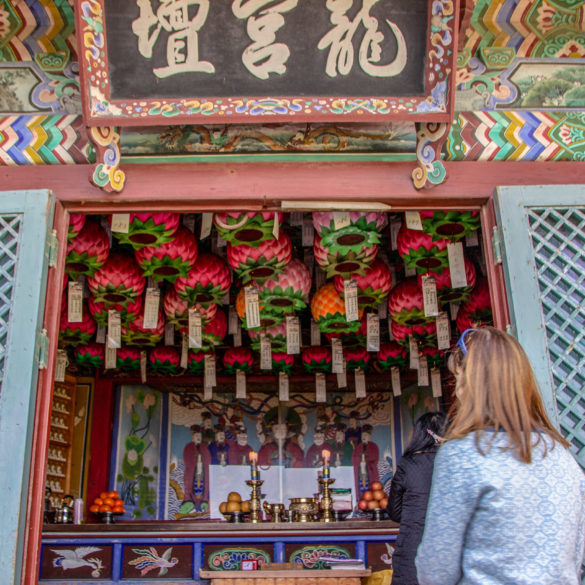 Wellness Travel - True Wind Healing Travel